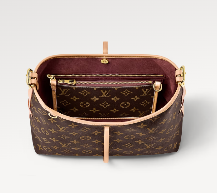 Louis Vuitton CarryAll PM Review! – Umami of Life